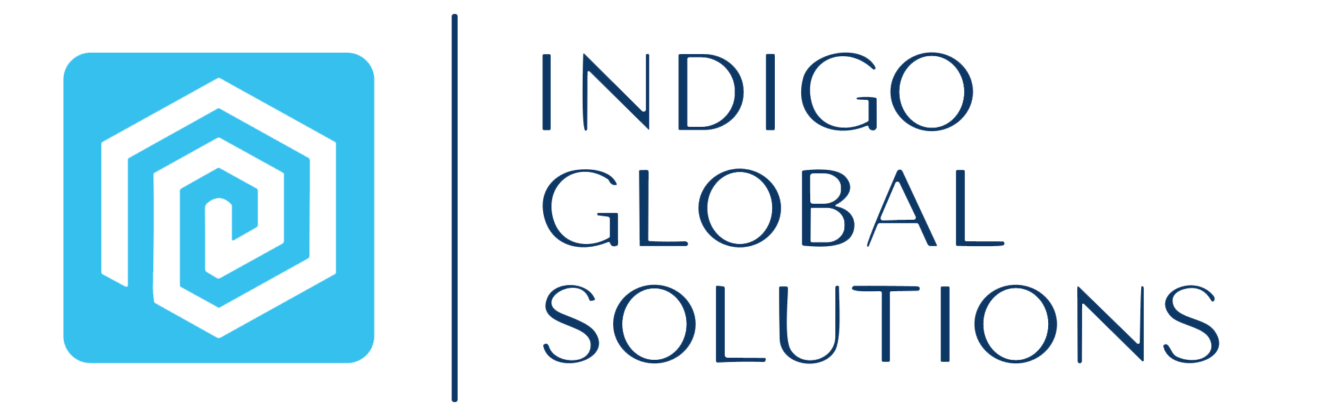 indigo global solutions